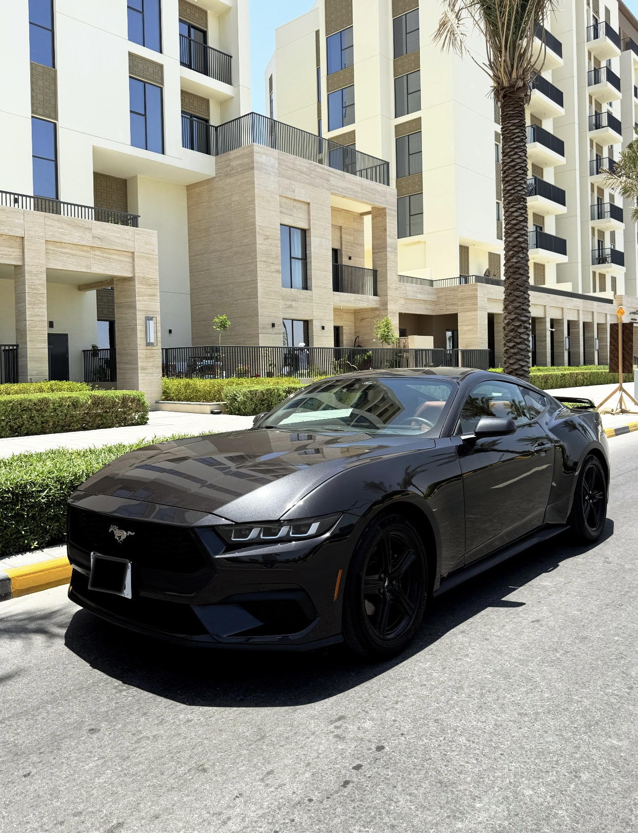 Ford Mustang Fast-Back Black Edition with amazing interior color